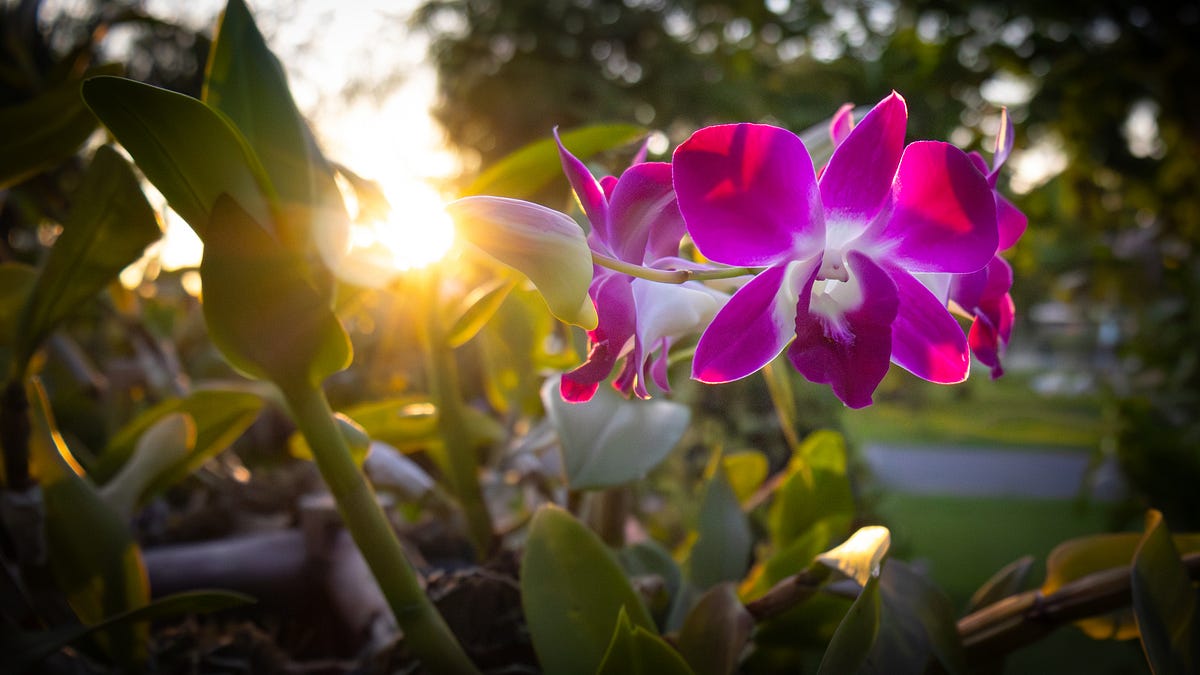 How to Reduce Photo File Size: JPEG and RAW Compression that Actually ...