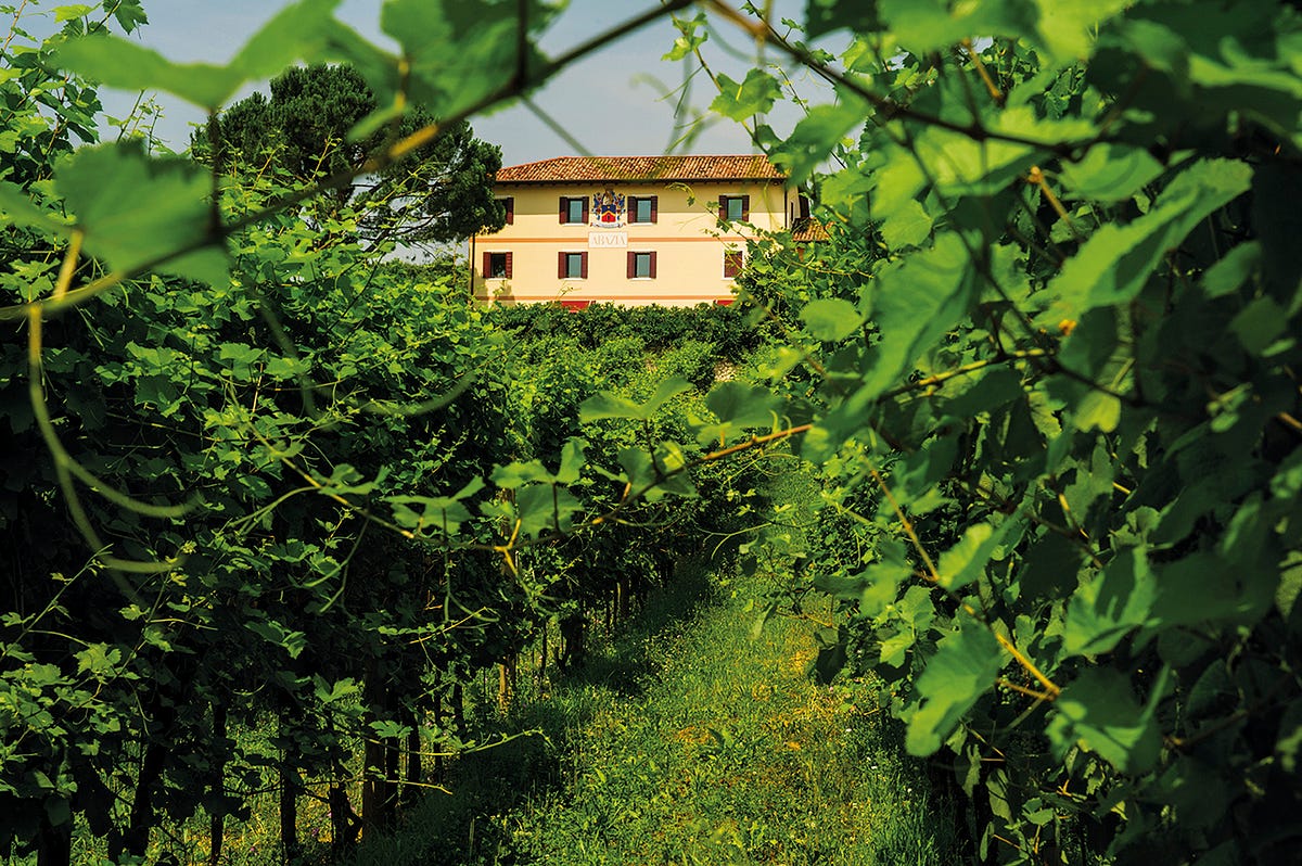 La dimora di Bacco. Sulle colline del Montello, all’ombra… | by Atelier ...