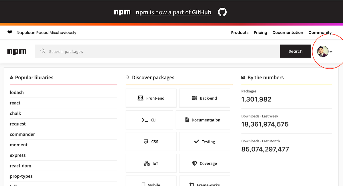 Adding Members to your NPM Organization | by Manny Colon | Medium