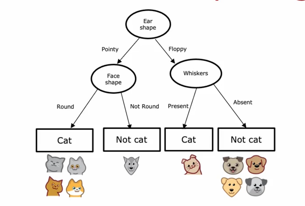 Understand Decision Tree | Medium