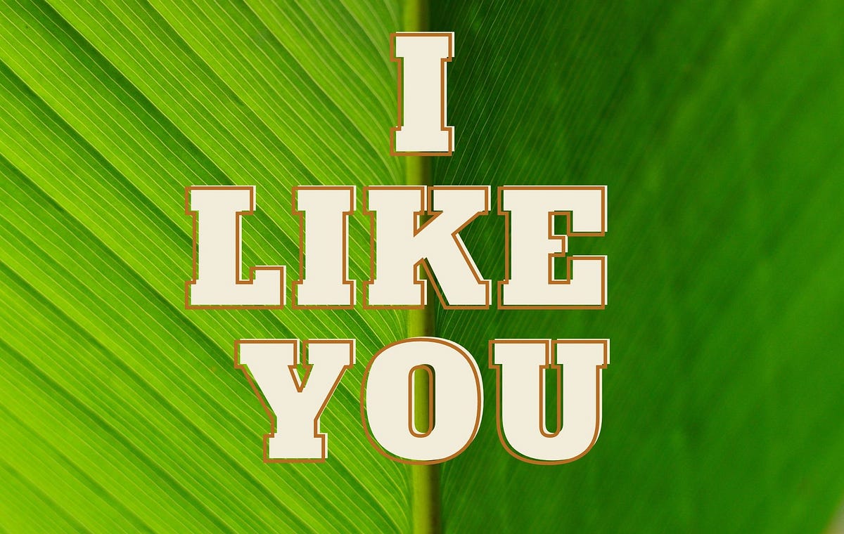 How To Genuinely Like Someone Without Forcing Yourself | by 🌈LIFE ...