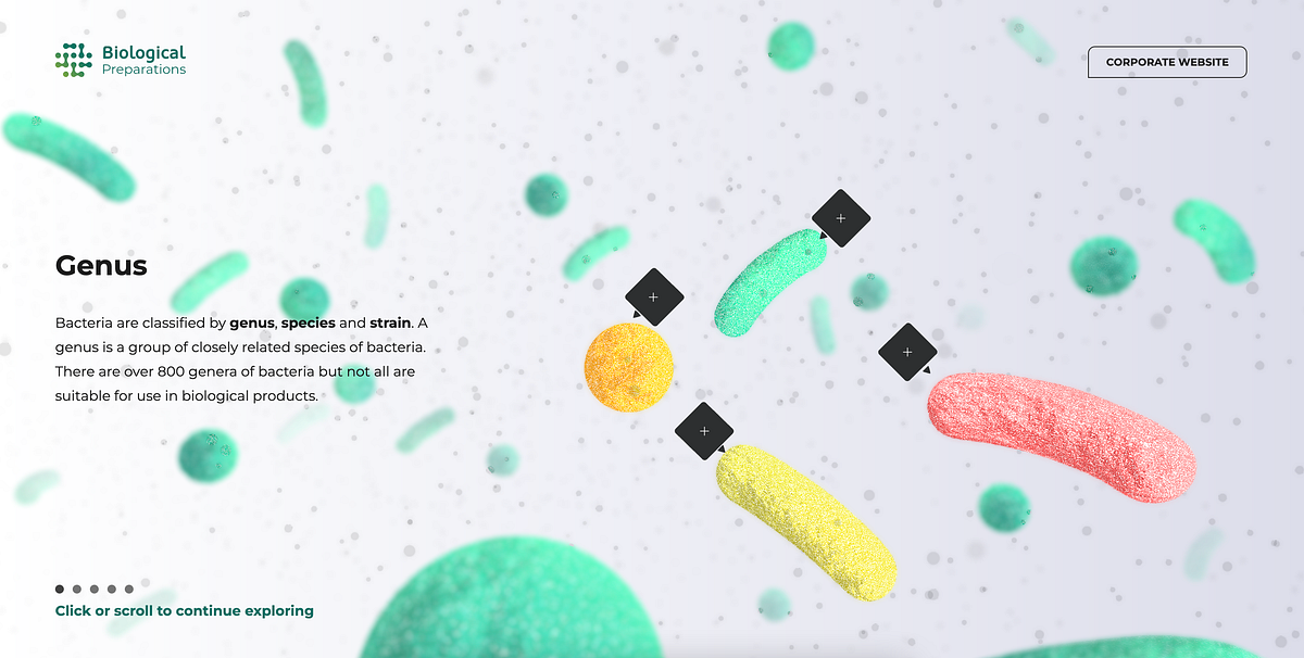 Case study: using noise to represent microscopic behavior | by Ramiro ...