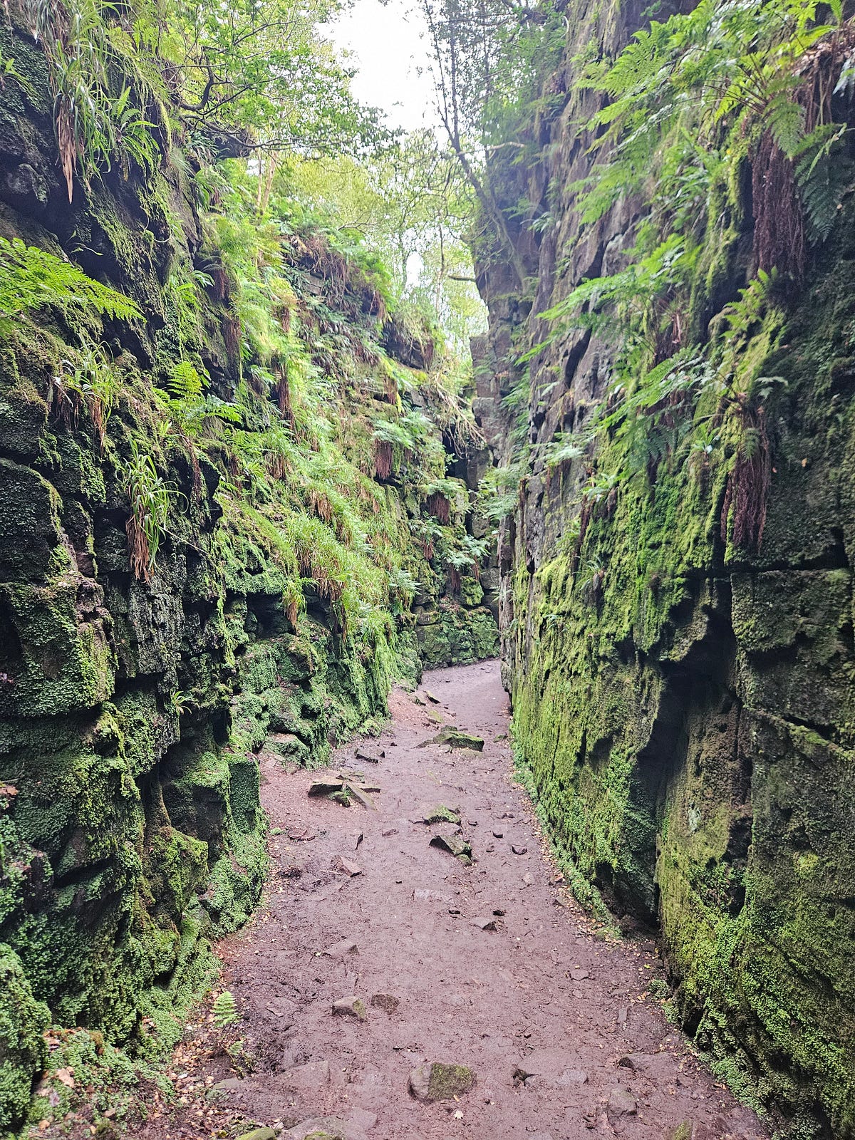 Poetry Playground Writing Prompt #35 | by Jonny Masters | Poetry Playground | Aug, 2024 | Medium