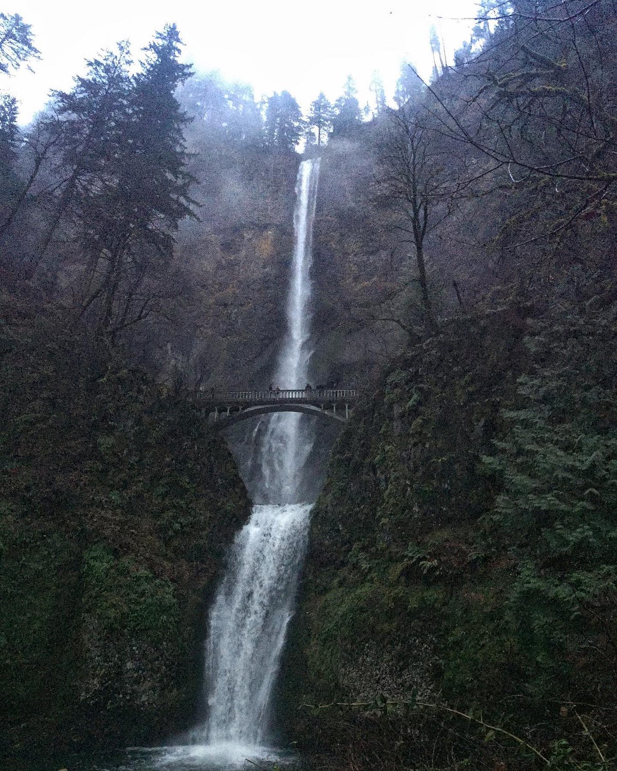 Travel Guide Multnomah Falls - Terrantravels - Medium