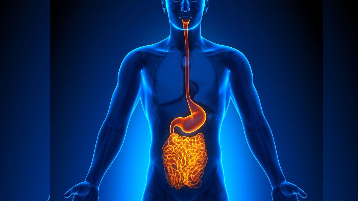 Reasons You Have Leaky Gut — And What You Can Do To Fix It | by ...