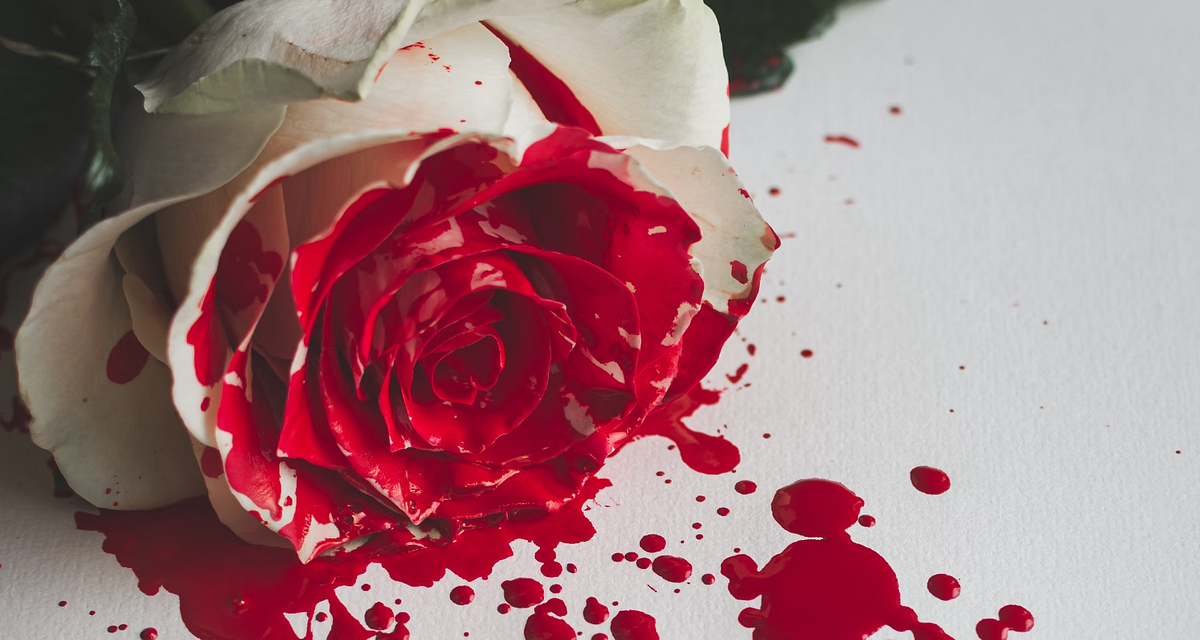 Farewell, To The Well You Go: A Love Letter | by Erin Major | Medium