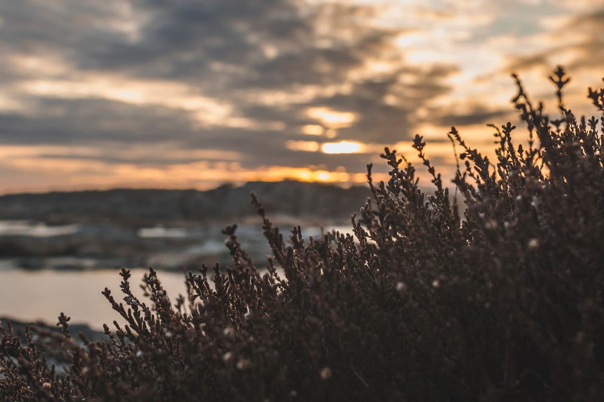 Taking a Chance at Blogging Again | by Bayinnah Shah | Medium