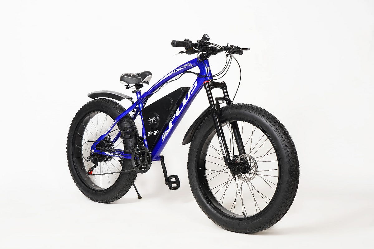 Bingo | Affordable E-Bikes | Shop Electric Bicycles (bingobike.com ...