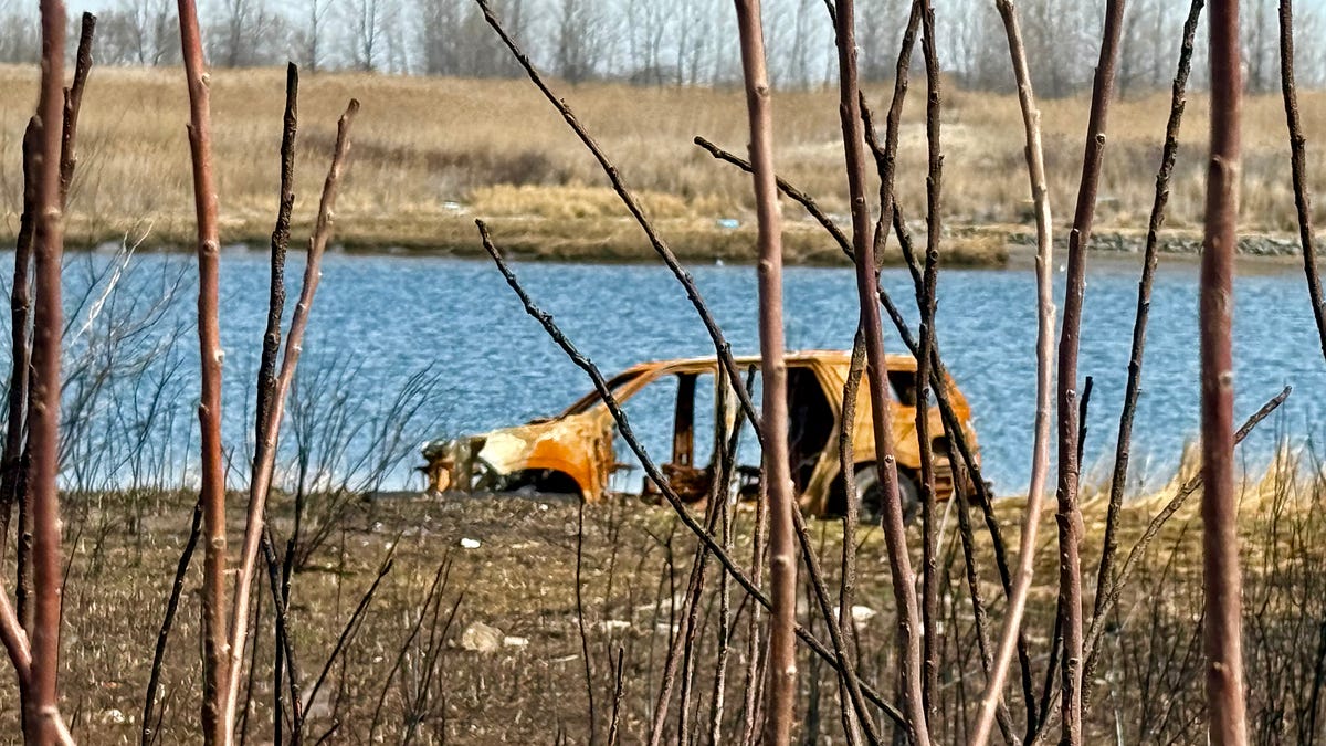 Relics, Rust, And Relationship Reflections In The Reeds: Join My 365 ...