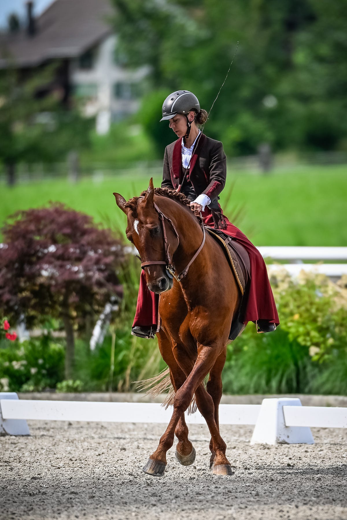 2. Working Equitation Turnier in Grüningen | by Arsets | Medium