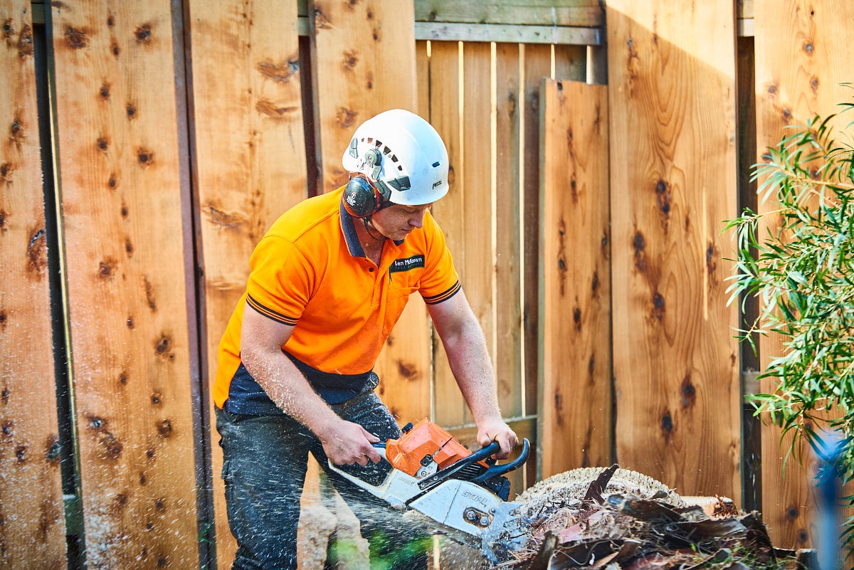 Professional Stump Grinding Services: Streamlining Removal with Expert ...