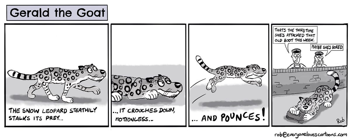 Drawing A Strip Cartoon – Enter The Snow Leopard | by Rob Middleton ...