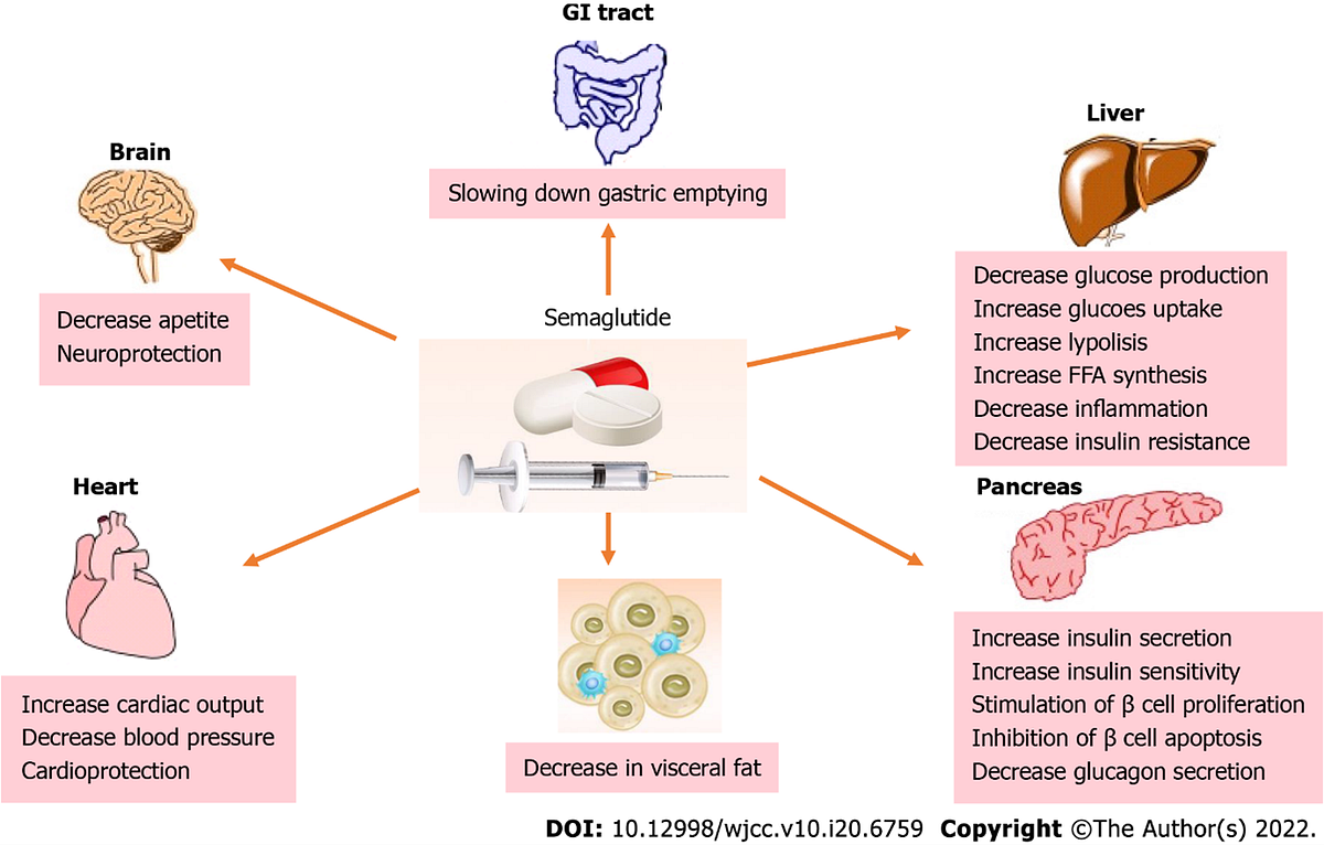 SEMAGLUTIDE RECONFIGURES METABOLIC PHARMACLOGY: A NEW FRONTIER IN ...