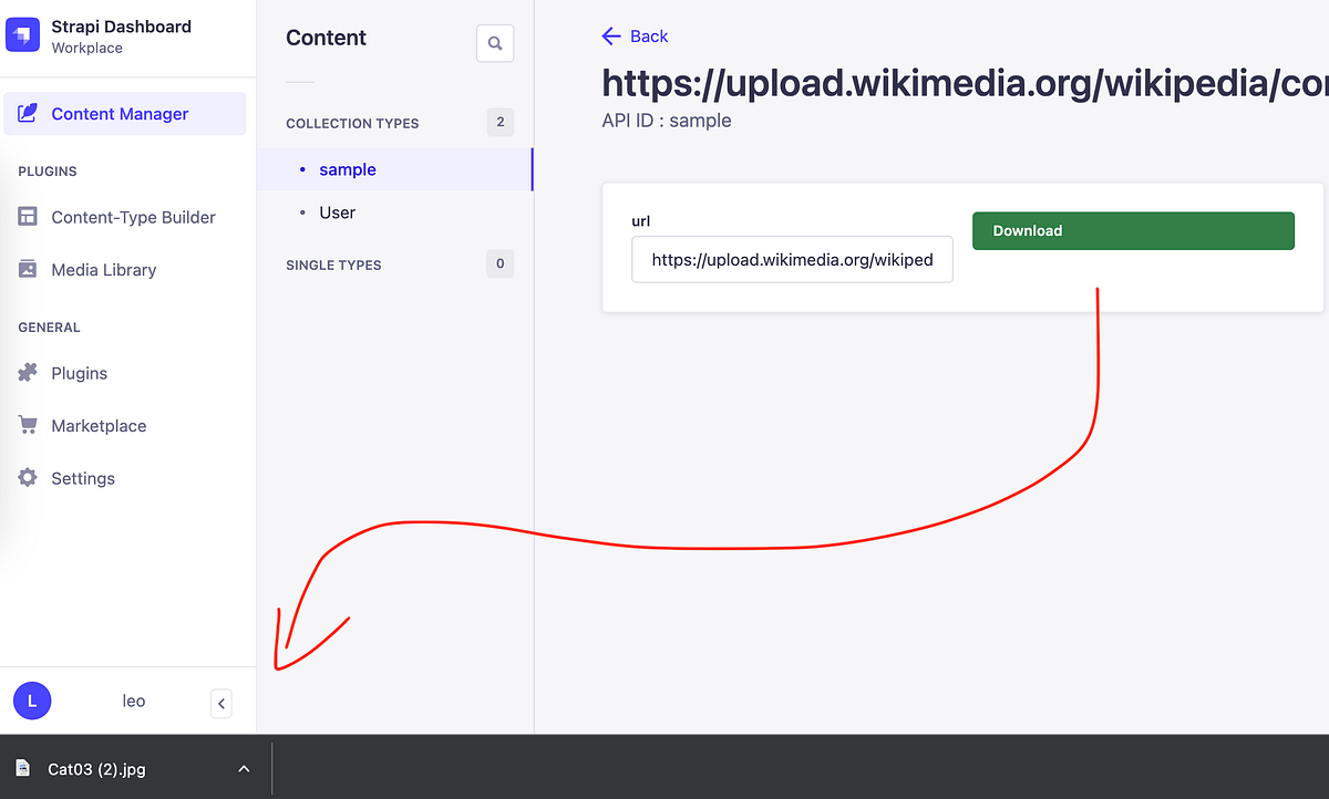 How to create a local plugin and register it as a customField in Strapi V4 | by Leocjacob ...