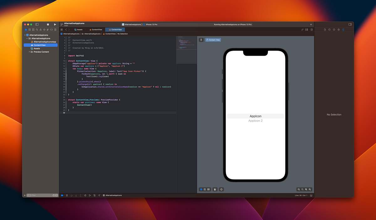 How to: Create App Icon Picker with SwiftUI for iOS 16 | by MING | Level Up Coding