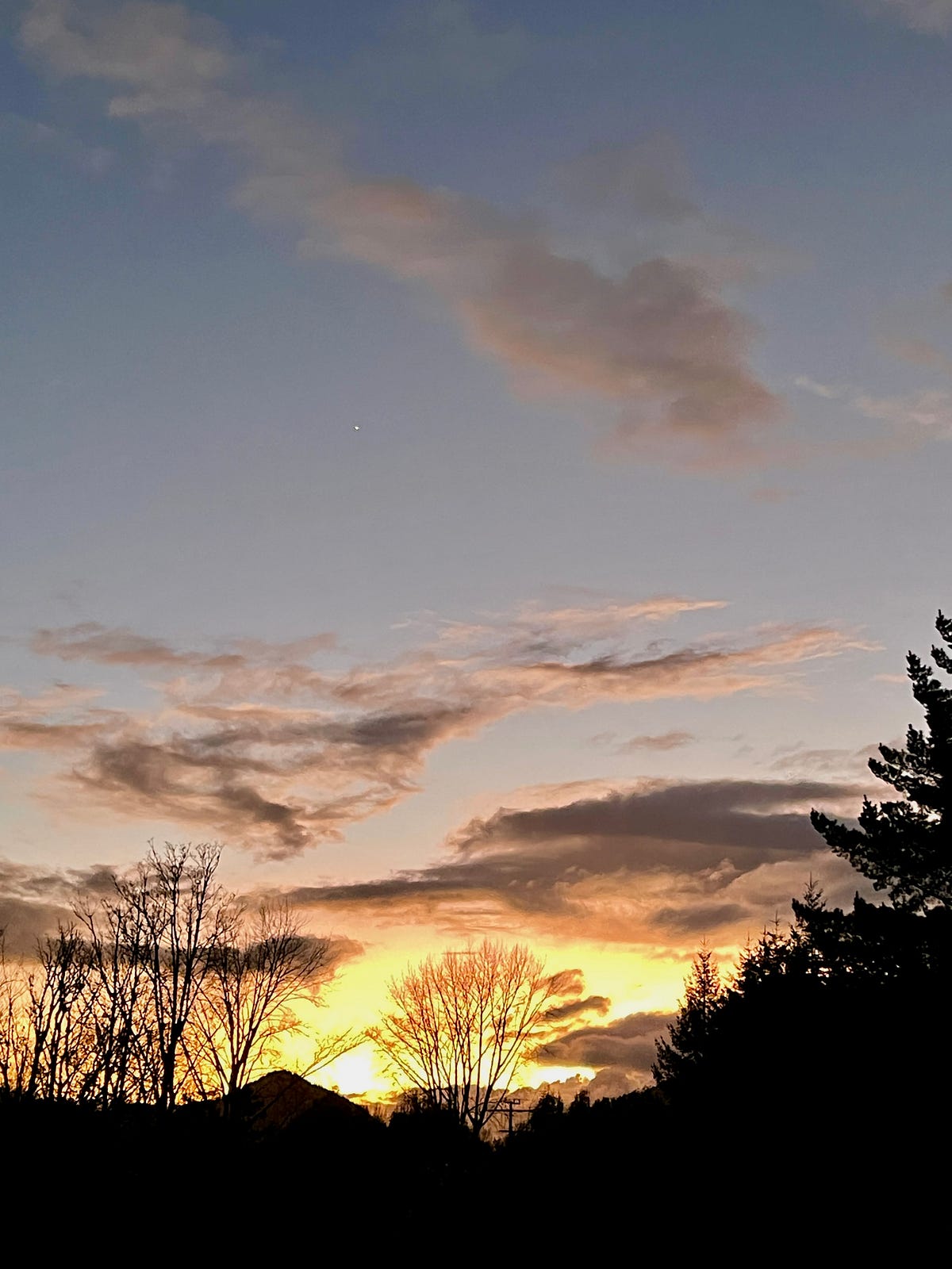 Matins. A Song for Morning | by Timpoa | Medium
