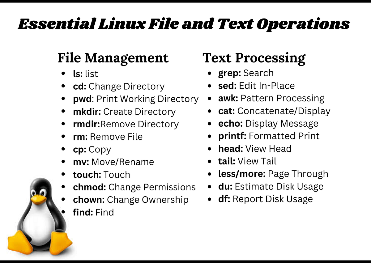 Unlock Your Linux Potential: Master These Must-Know Commands | by Areeba Adil | Jun, 2024 | Medium