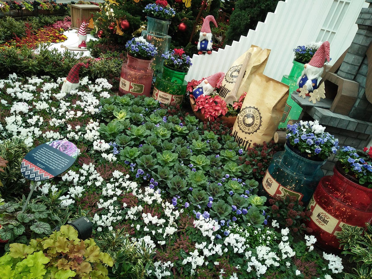 The Blessed Country: Singapore｜Photo Gallery in 2019 | by An Introvert ...
