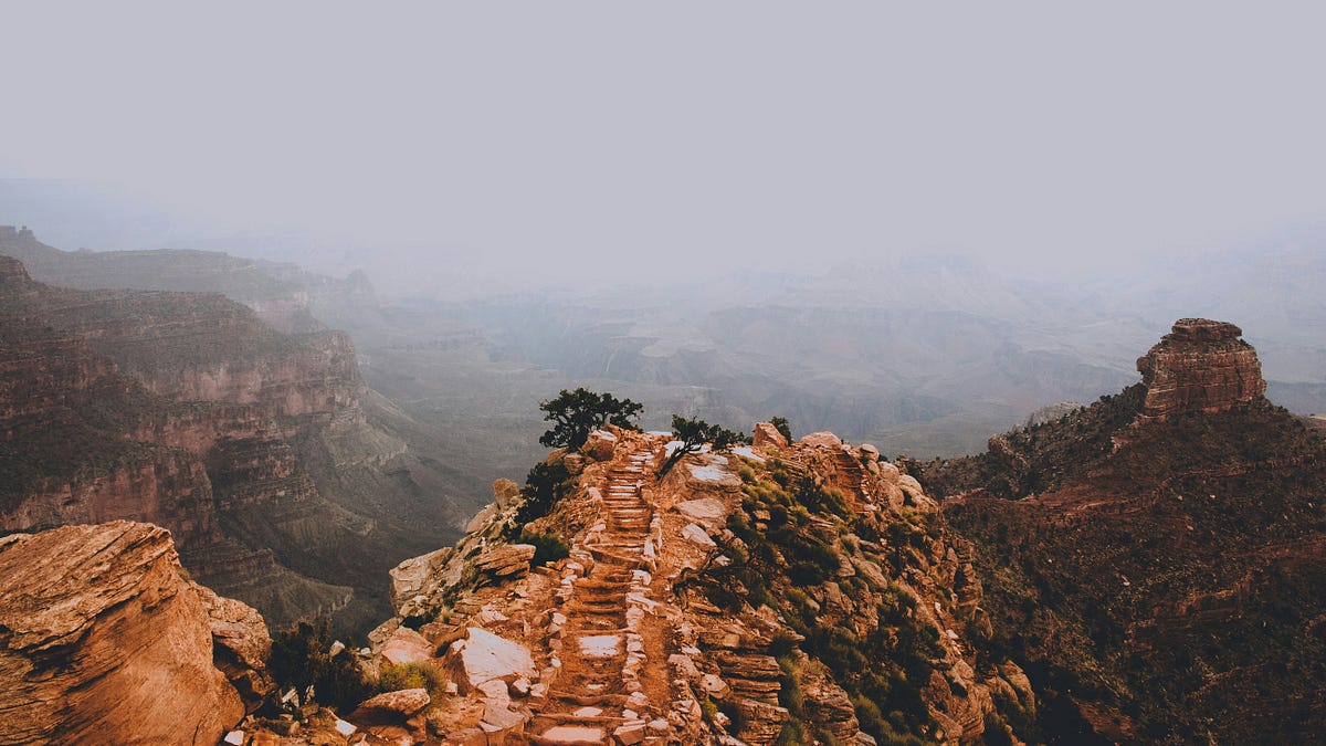 The Unconventional Path. In 2024, we really glorify the… | by Daivik ...