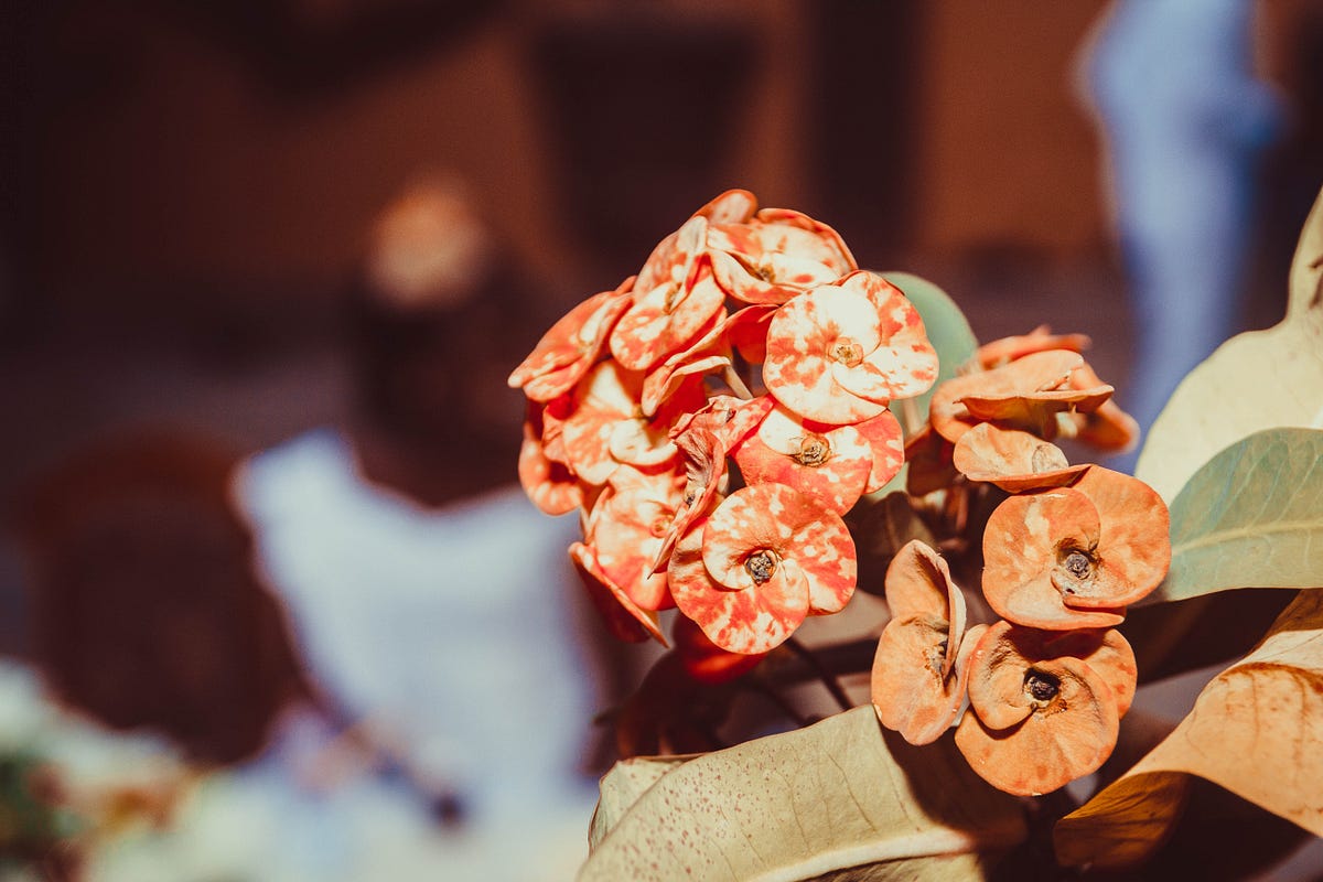 How to create great images even when you have no style | Counter Arts