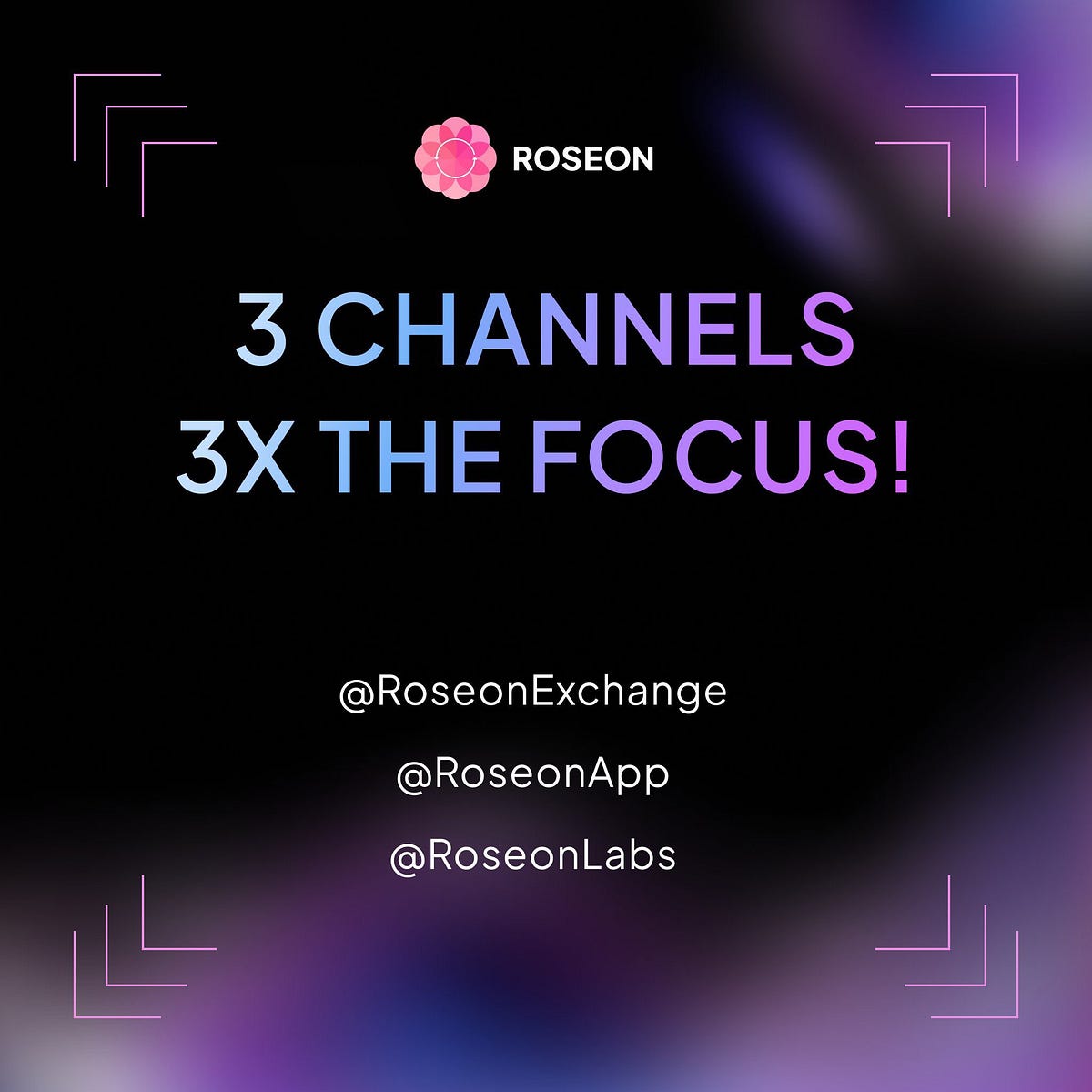 Roseon is doing something different on social media by splitting their online stuff into three ...