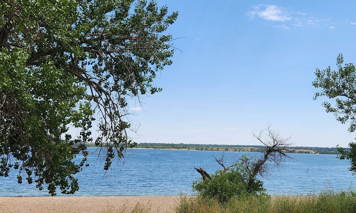 Quiet. I was down at the lake recently, near… | by Michael Schneider ...