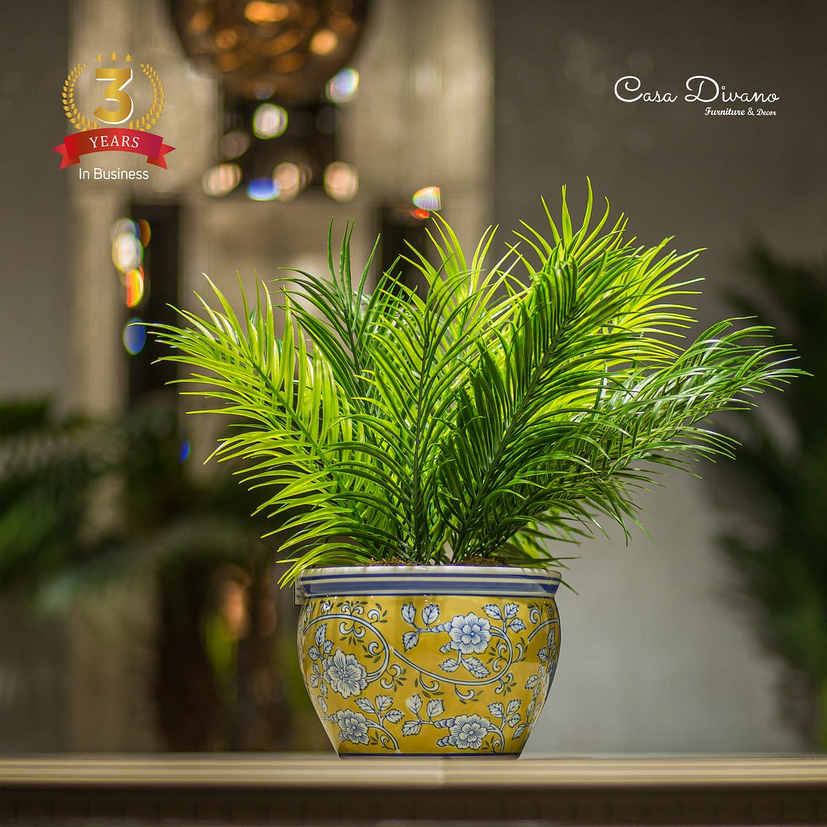 Luxury Decor In Dhaka - Casa Divano - Medium