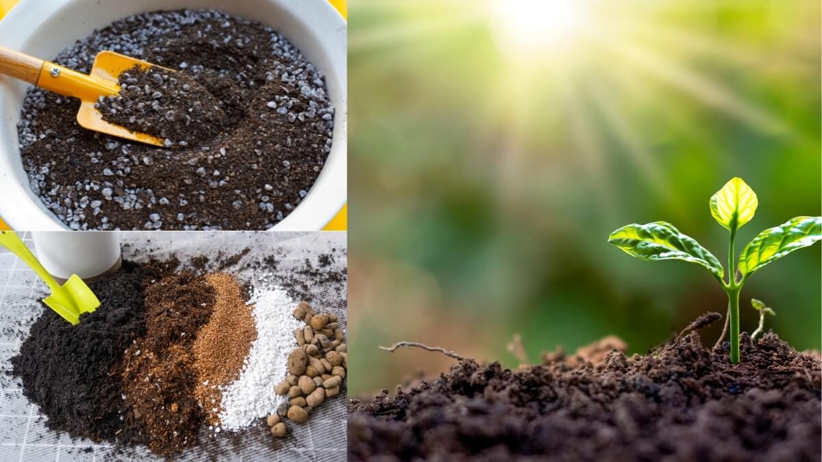 Boost Your Garden: Top Organic Soil Amendments for Plants 🌱 | by garden ...