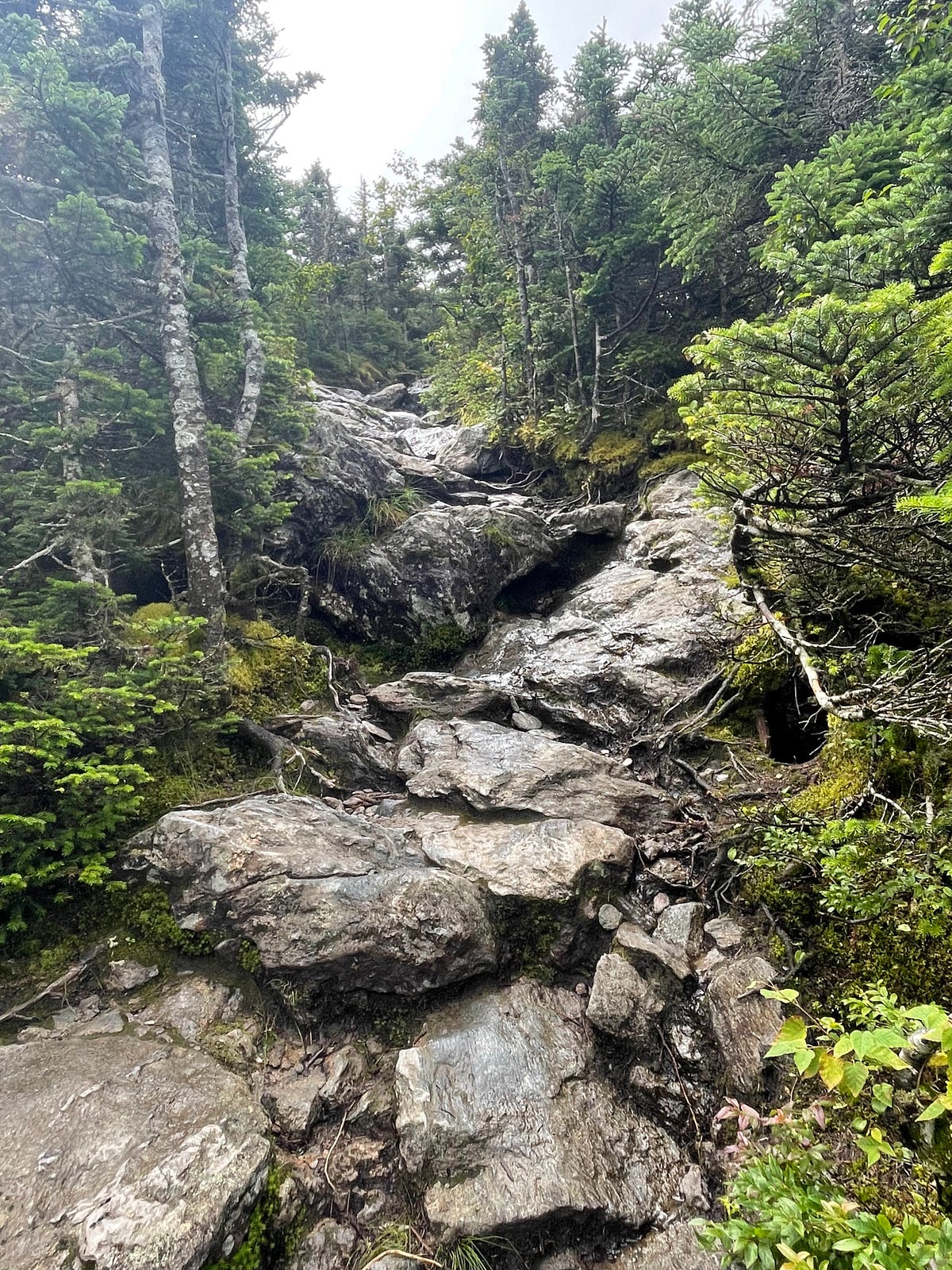 I Hiked The Second Tallest Mountain In Vermont (Camel’s Hump): Tips to ...