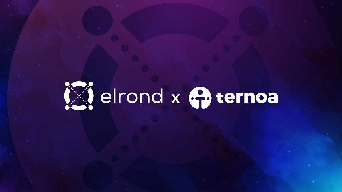 Ternoa’s NFT Time Capsules Soon to Enter the Elrond Ecosystem | by Sachie Takahashi/高橋 幸枝 ...