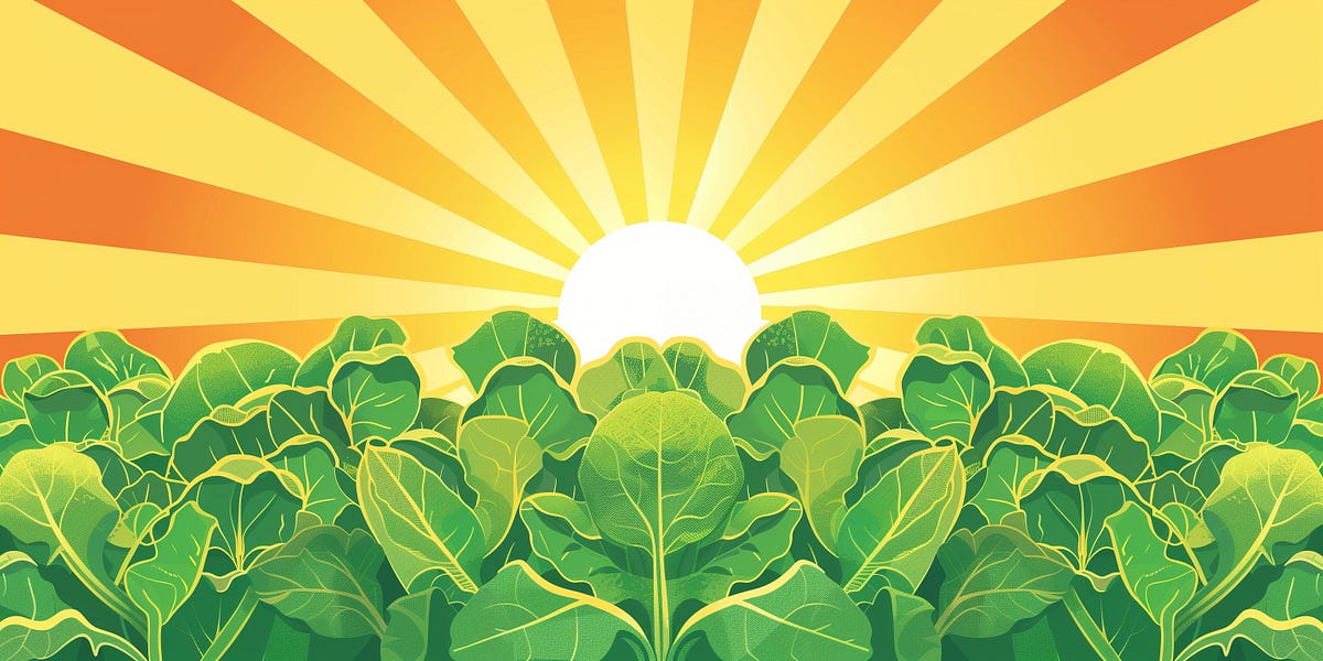 Solar Sustenance: Revitalize Your Mind & Body with Pranic Foods. | by ...