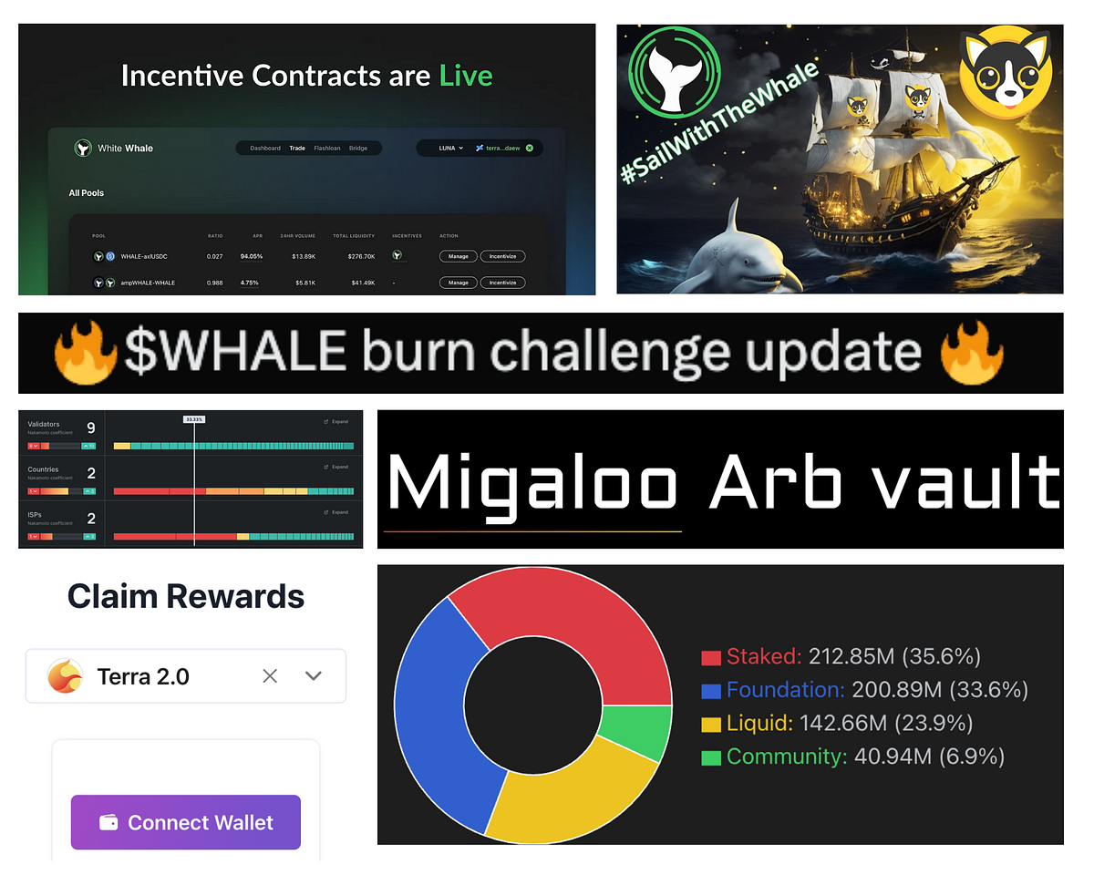 Recap of the 3rd week of July. Highlights about WhiteWhale and Migaloo Zone. | by Whaley DAO ...