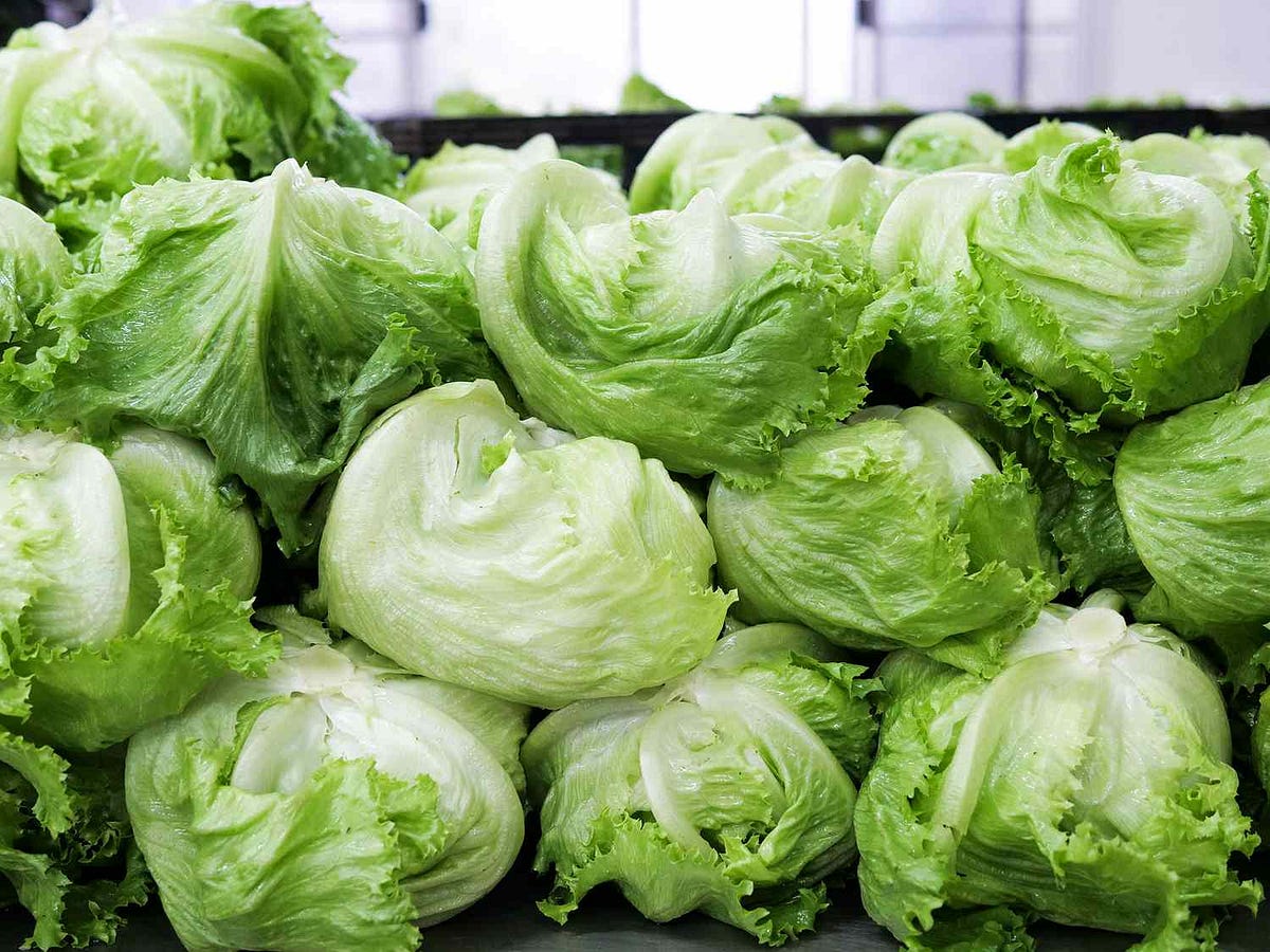 Arif Imran Foodstuff Trading LLC requires Fresh Ice Berg Lettuce - Arif Imran Foodstuff Trading ...