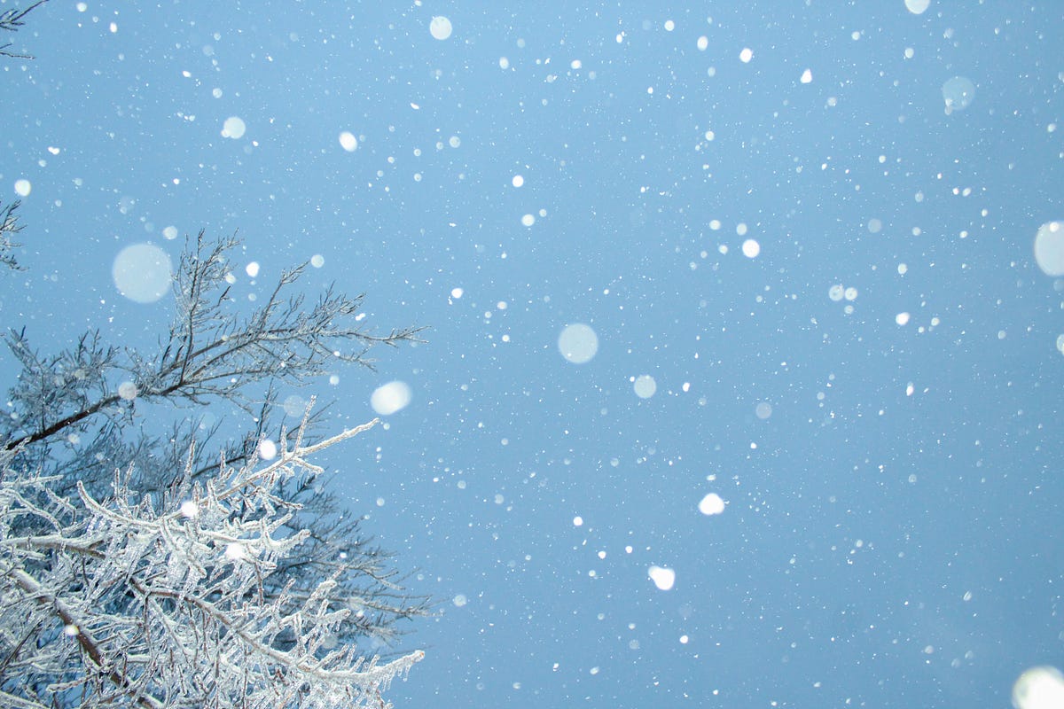 The Ultimate Guide to Using dbt With Snowflake | by Madison Schott ...