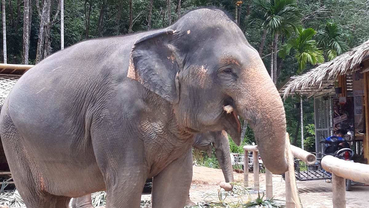 Getting Started with Design Patterns in PHP with the Factory Pattern | by Jakub Kapuscik | Level ...