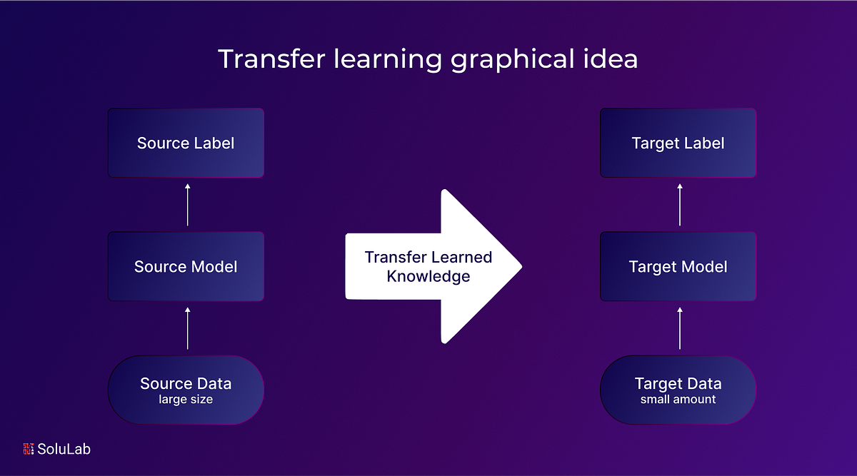What is Transfer Learning Why Does It Matter? | by SoluLab | Predict | Sep, 2024 | Medium