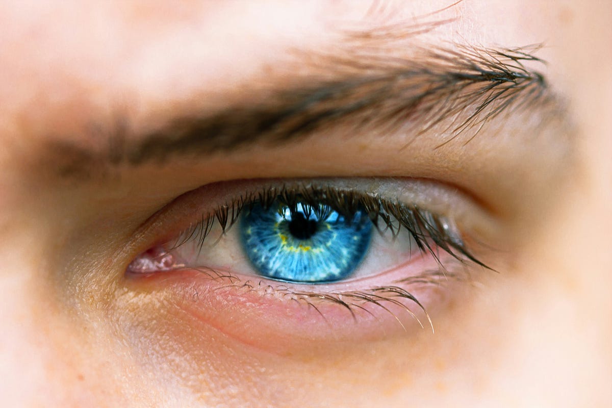 Notes On Toni Morrison’s “The Bluest Eye” | by Me and My Muse | Fourth ...