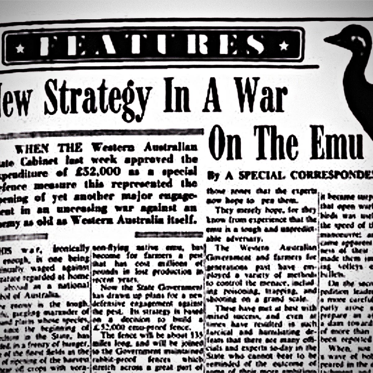 When Nations Declared War on Birds | by Alan S. | Curiosity Sparks | Medium