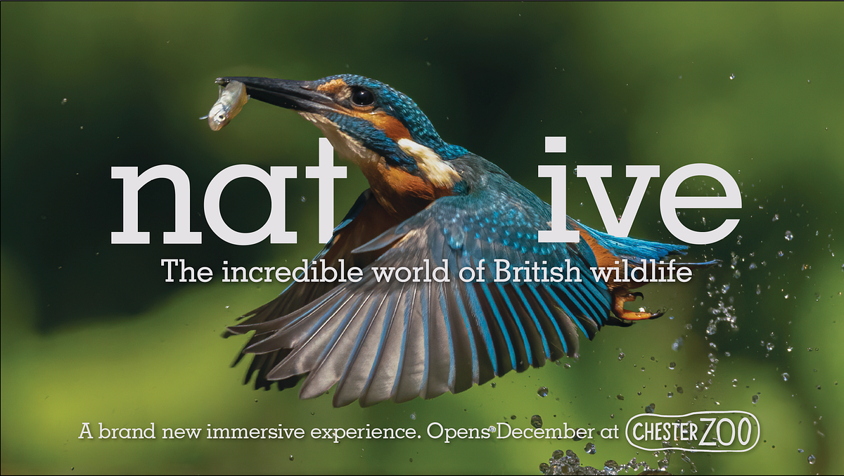 Meanwhile co-produce ‘Native’ — an immersive documentary for Chester ...