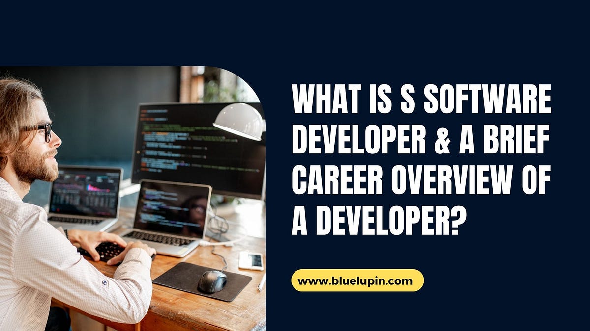 What is s Software Developer & a Brief Career Overview Of a Developer ...