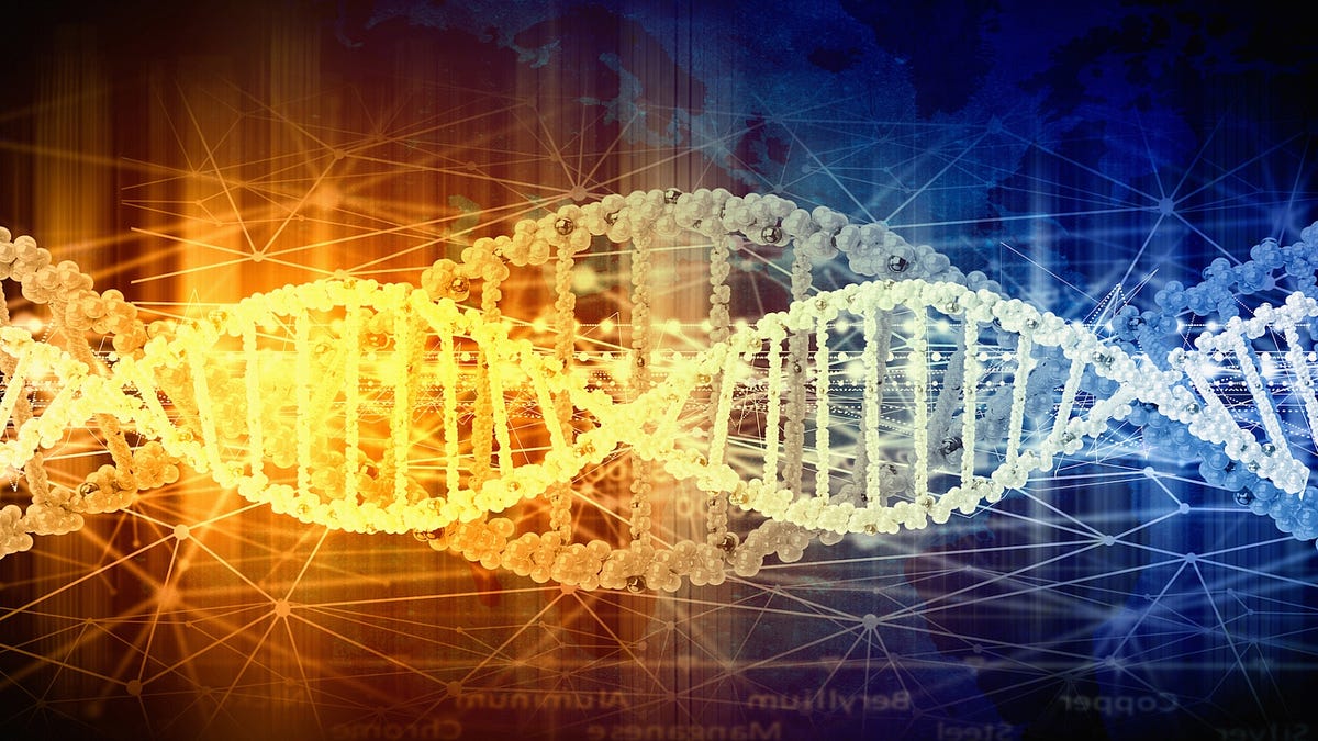 Getting Started In Bioinformatics A Step By Step Guide By