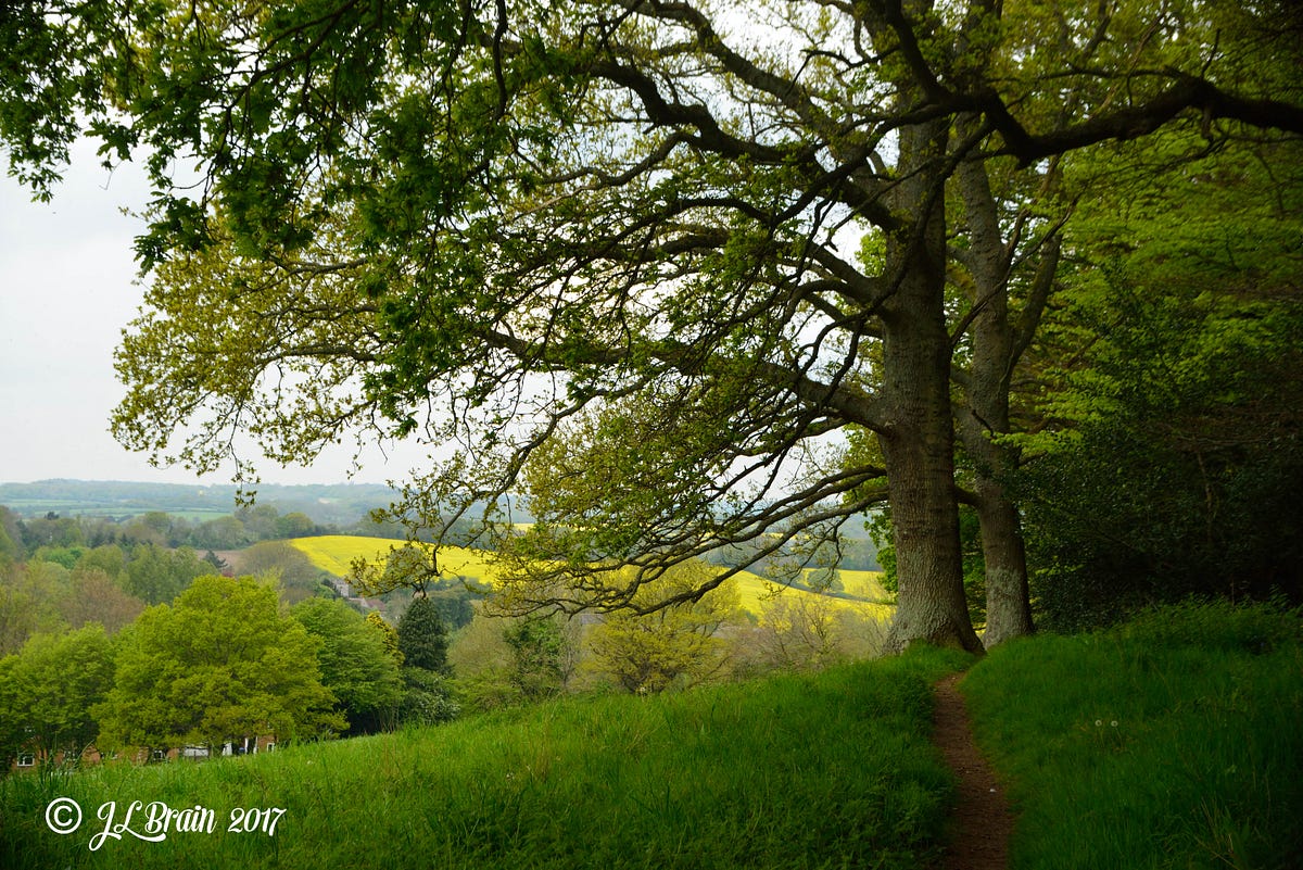 A Spring Awakening. I sense your light tread along the… | by JL Brain ...