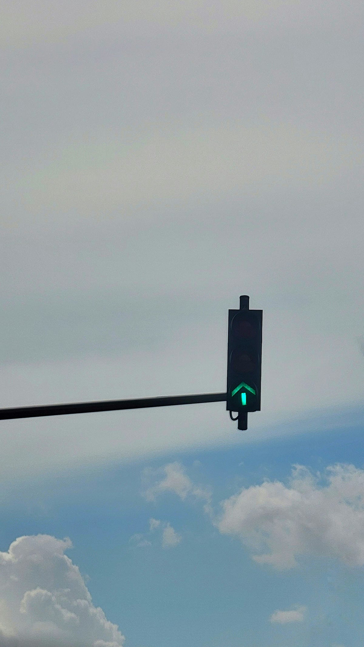 When Life Takes the Lead. The Way……is Waying. A deep dive into… | by ...