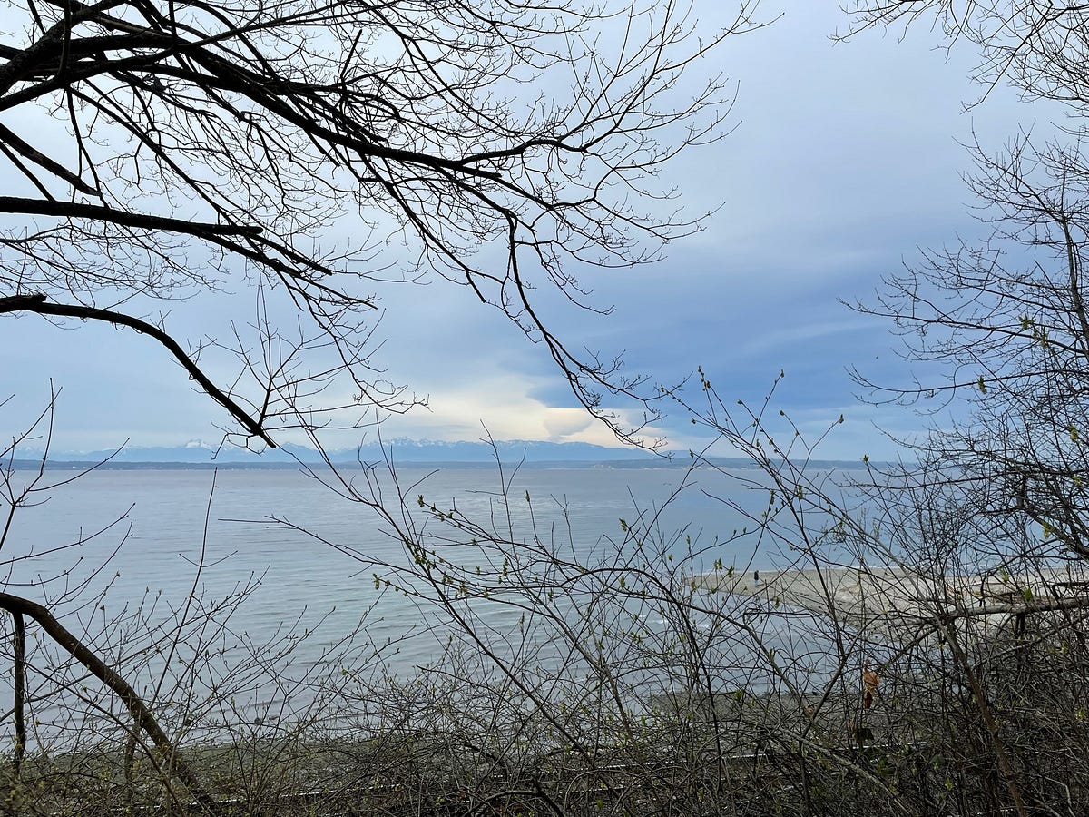 January in Seattle. It’s 9am on a Saturday morning, but… | by Catherine McGuiness | Medium