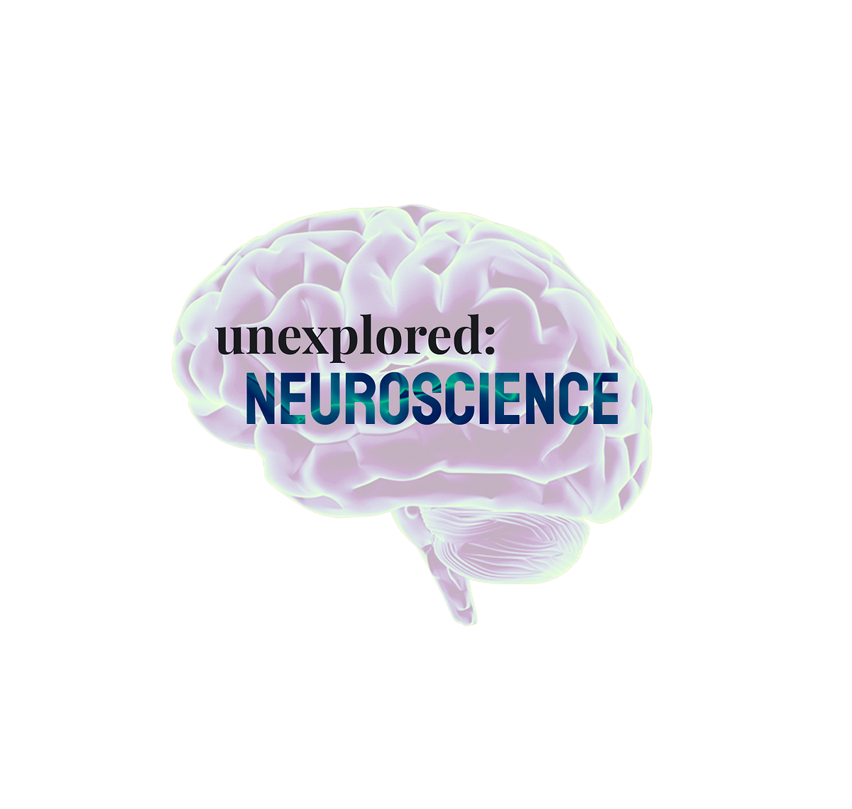 People following Unexplored Neuroscience