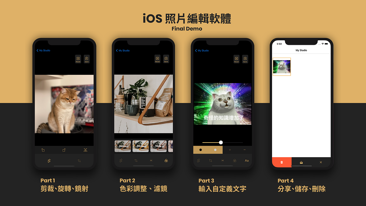 【iOS】#15 照片編輯軟體 Final part: 分享、儲存、刪除 | by Leo Kuo | 彼得潘的 Swift iOS / Flutter App 開發教室 | Medium