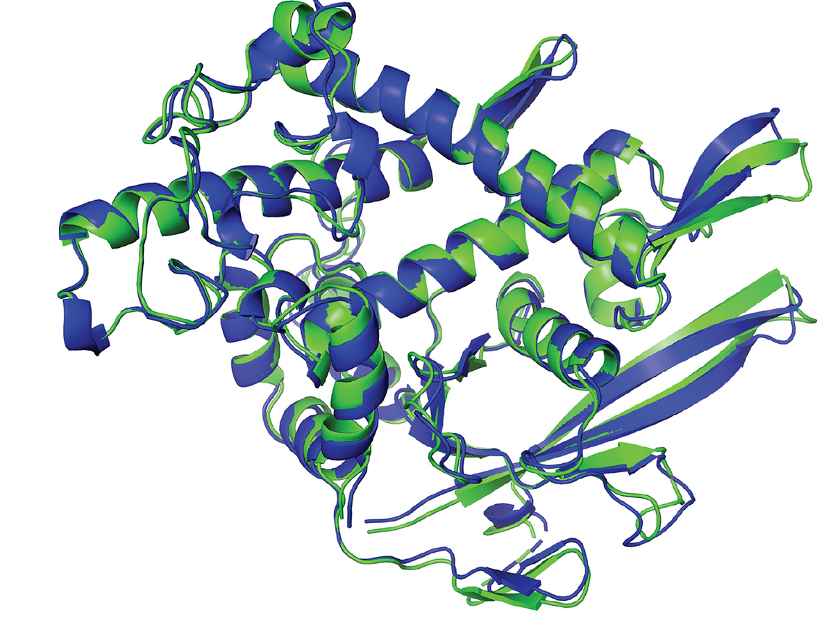 AlphaFold 3: A Breakthrough in Predicting Molecular Interactions | by ...