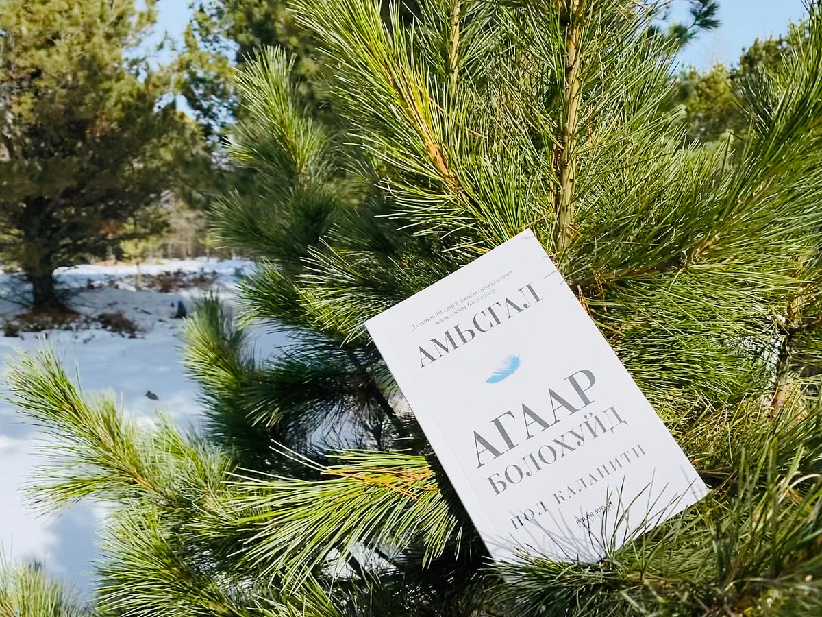 Амьсгал агаар болохуйд [Пол Каланити] By Erdem Nomt Medium