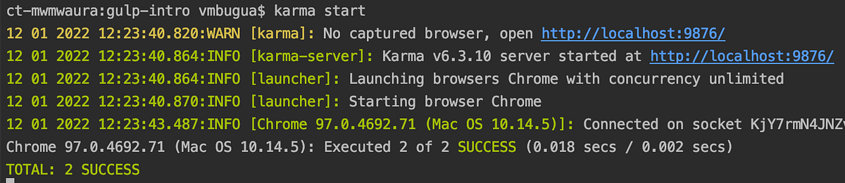 Testing Vanilla JS using Karma and Jasmine | by Vincent Mbugua | Medium