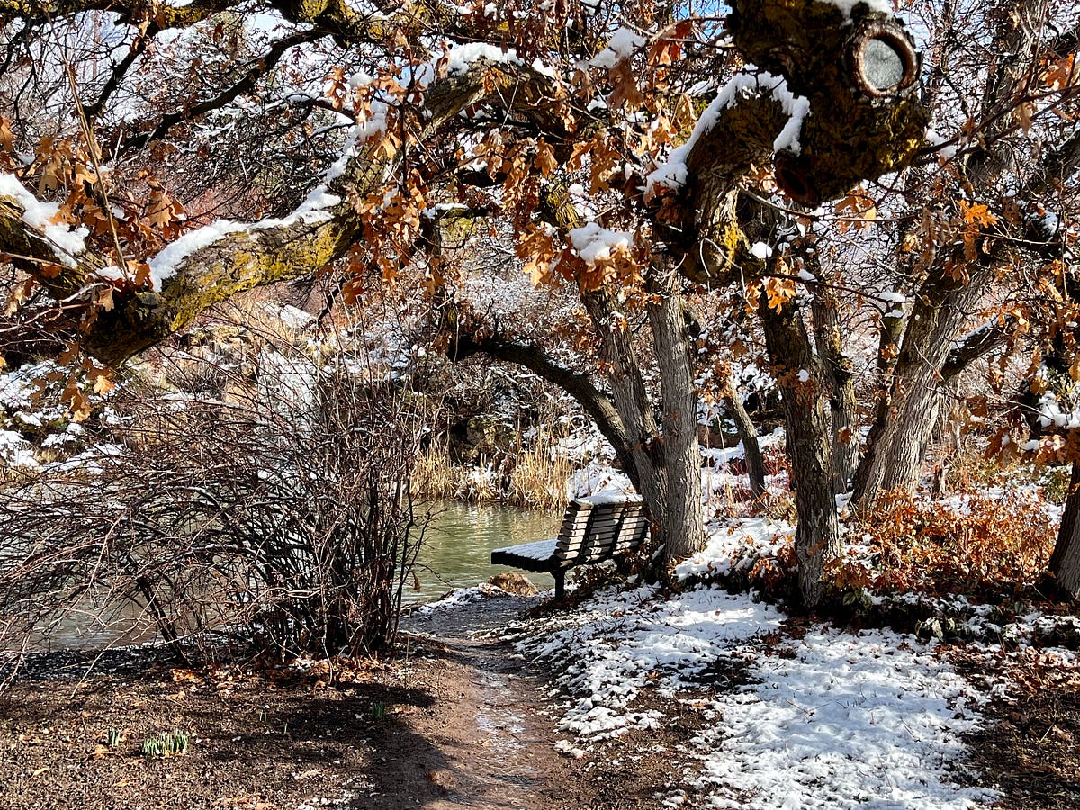 Visiting the Red Butte Garden & Arboretum | by Kim Clawson | Gardening ...
